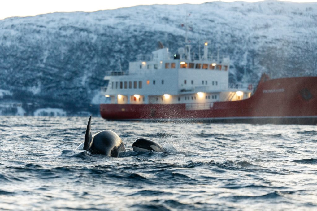 Vikingfjord - Waterproof Expeditions