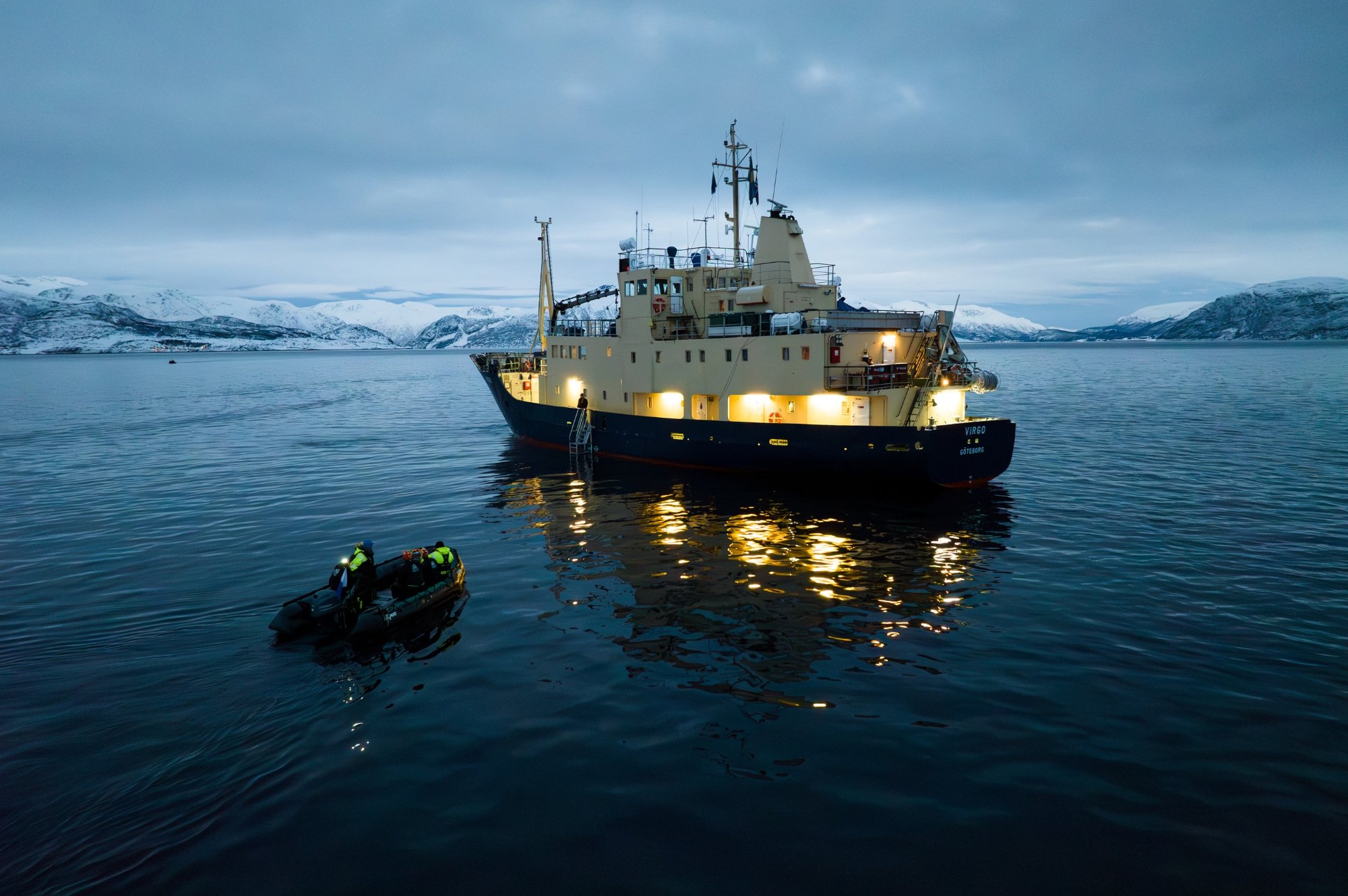 Capturing the Winter Whales of Northern Norway