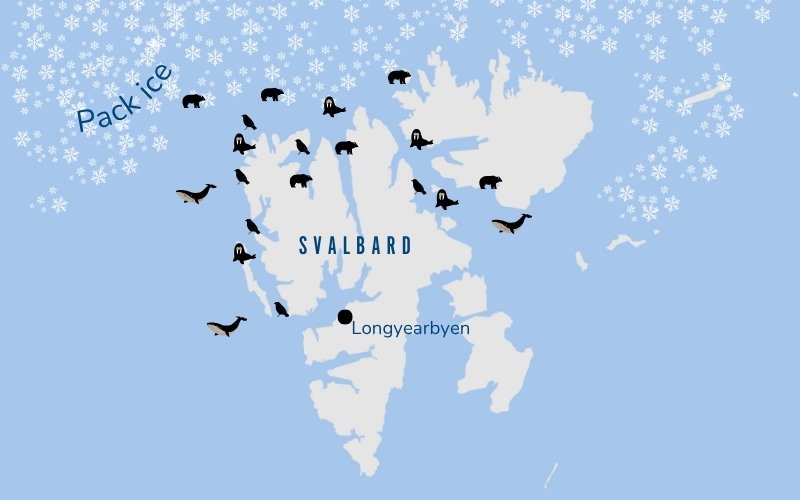 Circumnavigation of Svalbard - Waterproof Expeditions