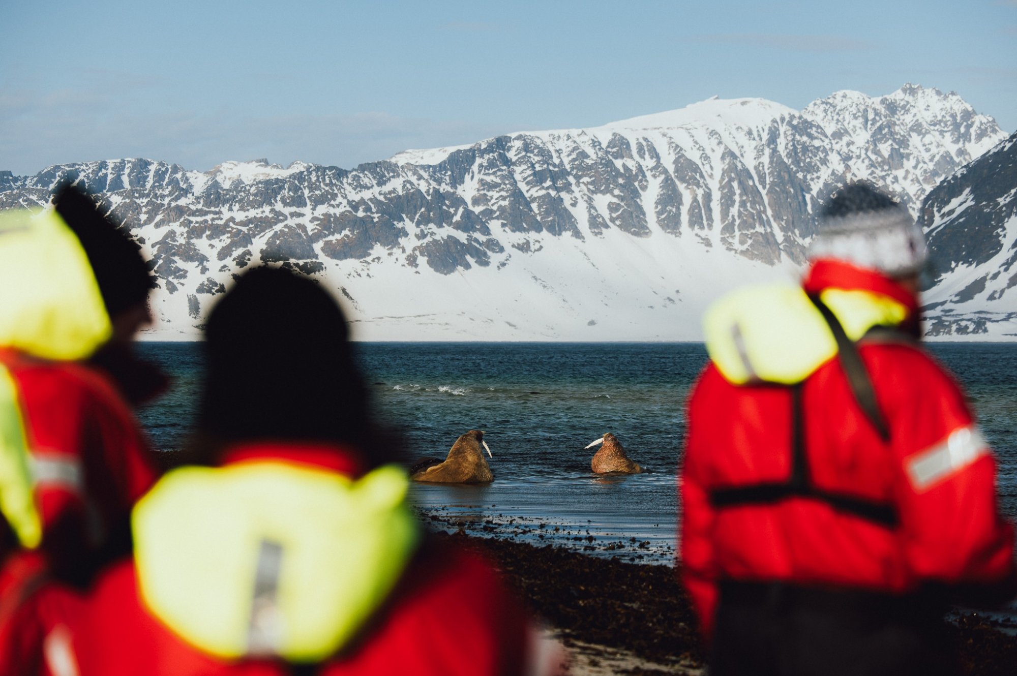 A Story from Svalbard - Waterproof Expeditions