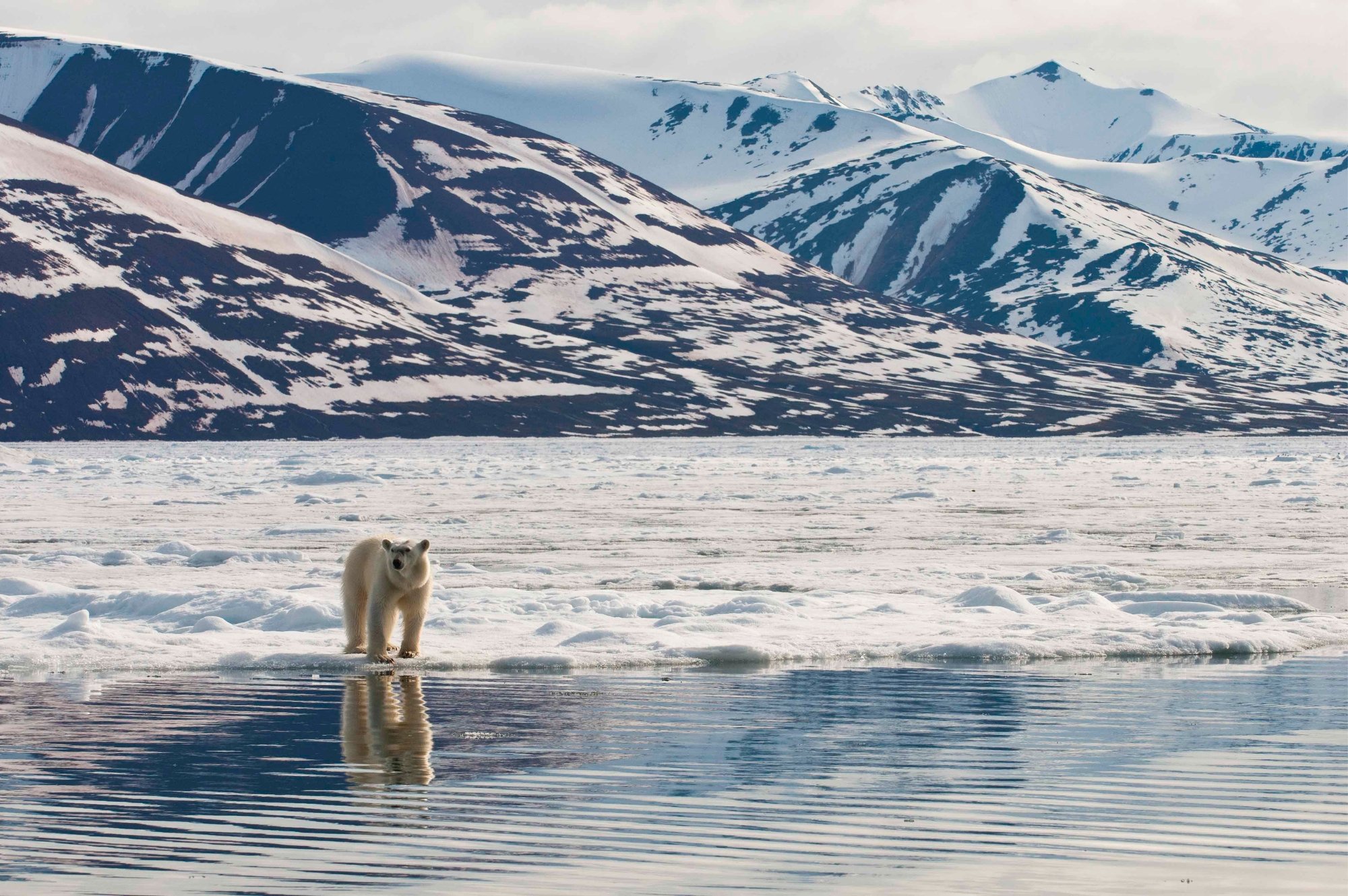 Svalbard Awakening : Small Ship Expedition - 10 days